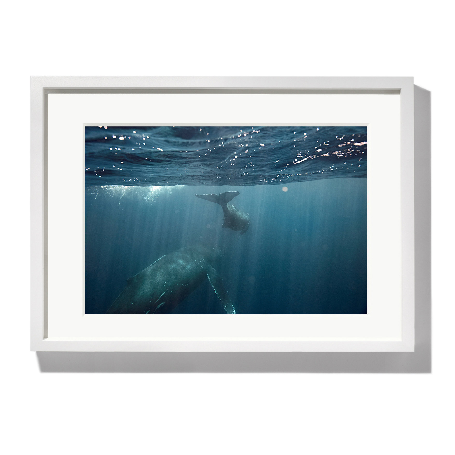 Whisper Editions » » Sean Fennessy